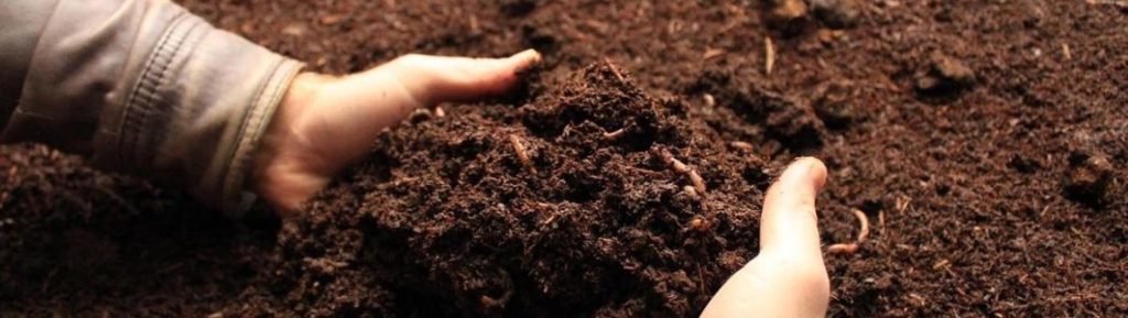İSARE PEYZAJ :: İLK ELDEN TOPRAK SATIŞI